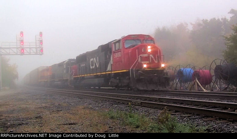 CN 5800